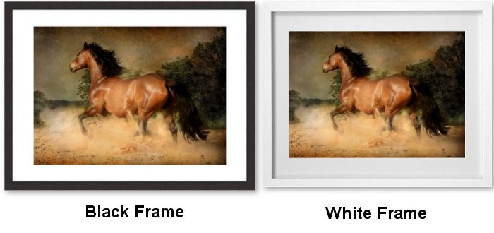 Galloping Horse Wall Art Framed Print (2020 Update)